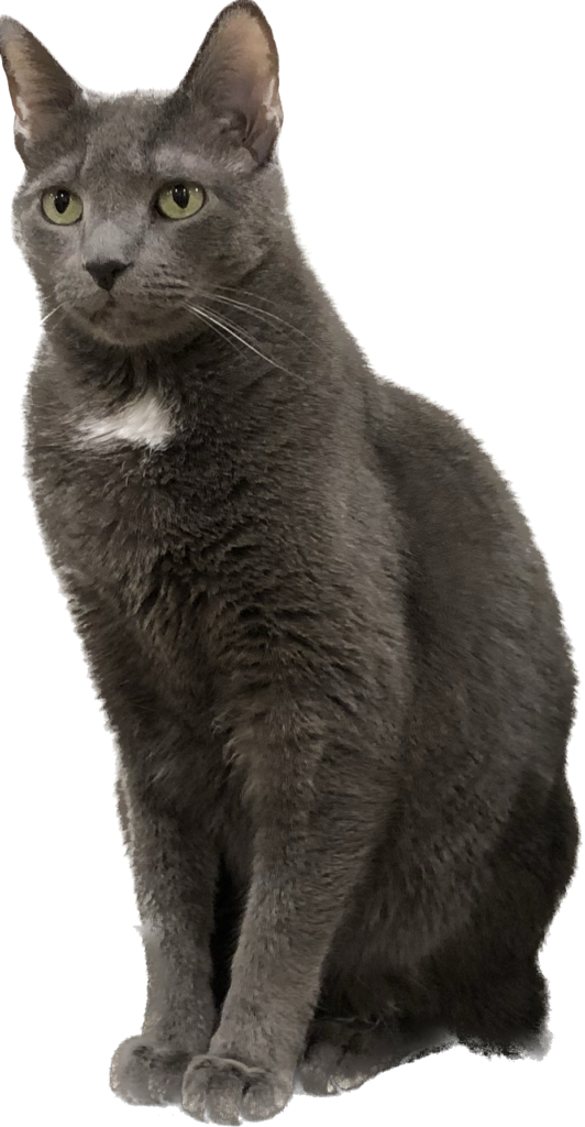 You are awesome! | The Signal Path